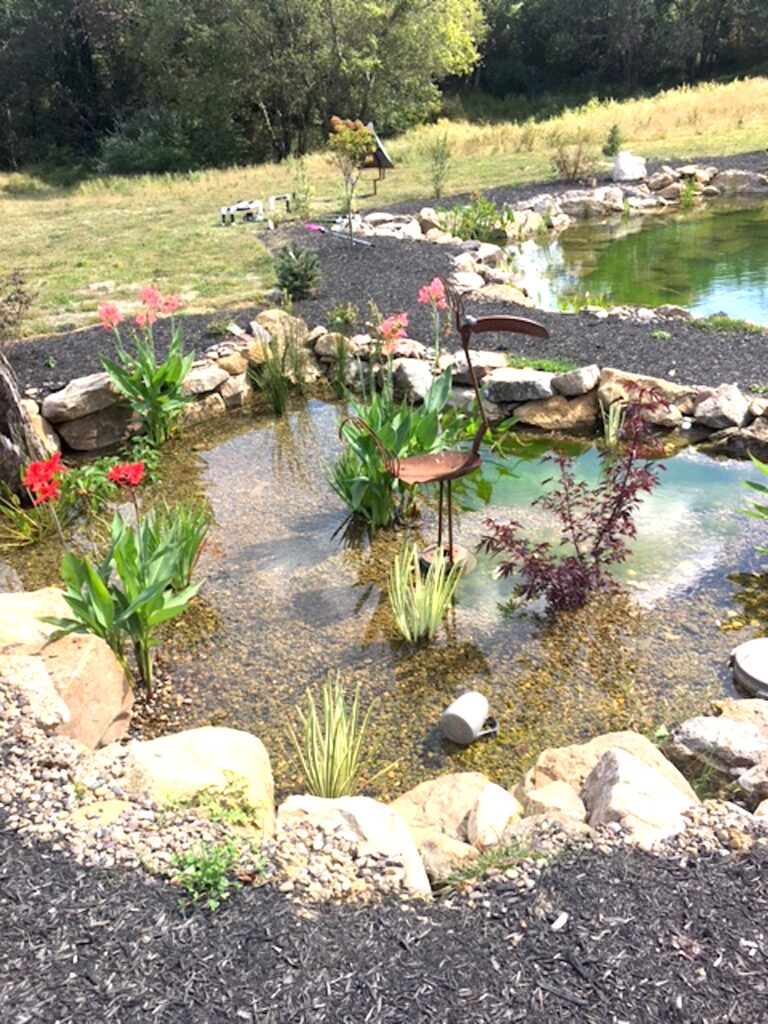 Natural Swimming Pool Ponds - Aquatic Creations